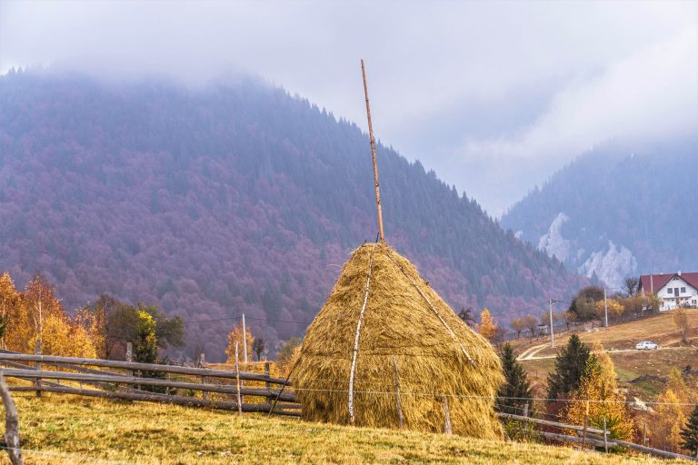 Ce poți să faci în satul Peștera din Brașov- Calatorii de weekend