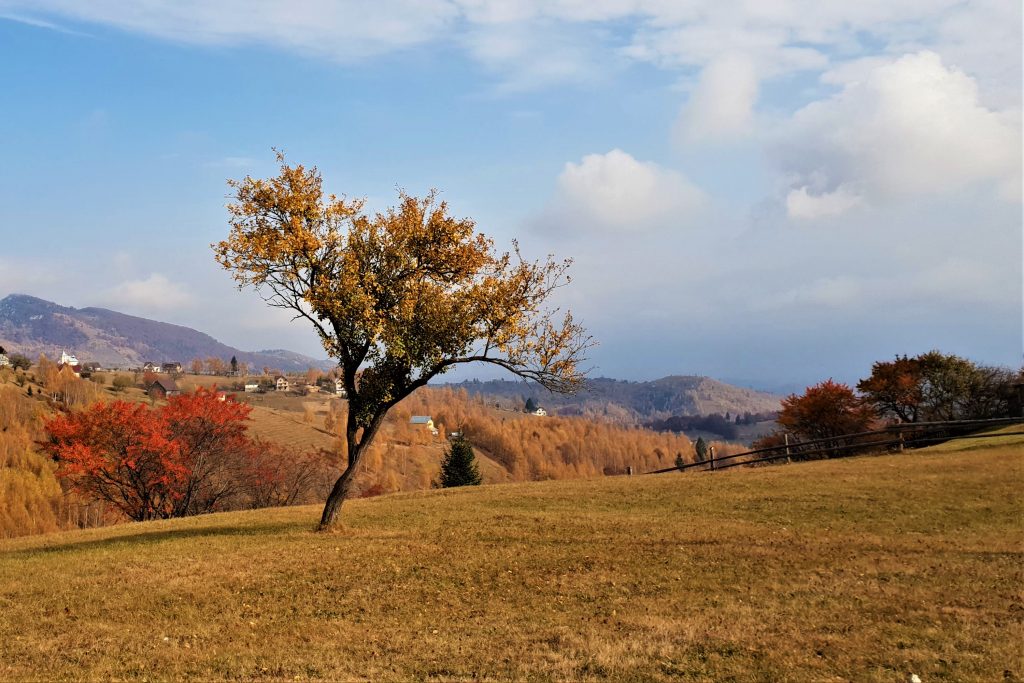 Ce poți să faci în satul Peștera din Brașov- Calatorii de weekend