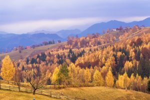 Ce poți să faci în satul Peștera din Brașov- Calatorii de weekend