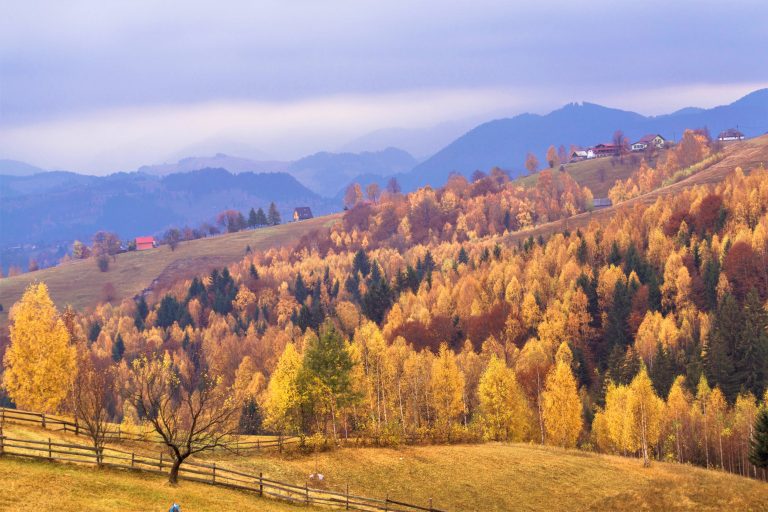 Ce poți să faci în satul Peștera din Brașov- Calatorii de weekend